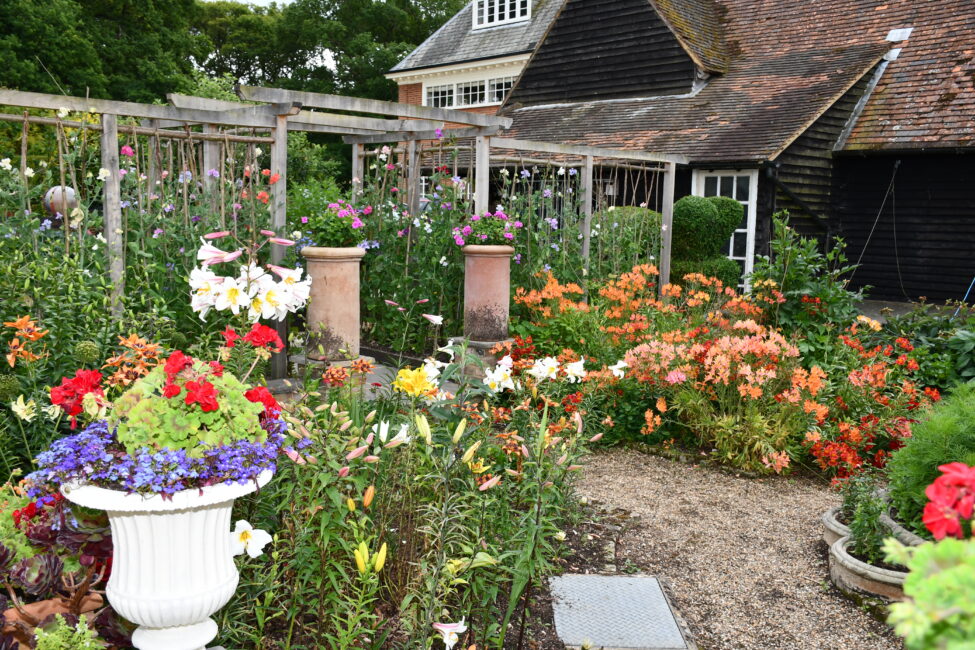 Lords Wood and Gallery Opening - Open Garden - Scannappeal