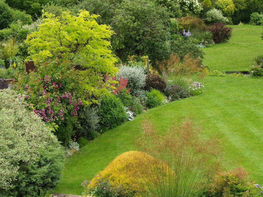 Red Kites - Open Garden - Scannappeal