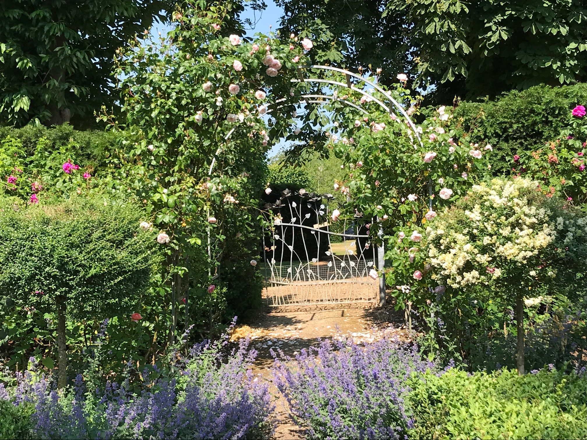 Chearsley Hill House - Open Garden - Scannappeal
